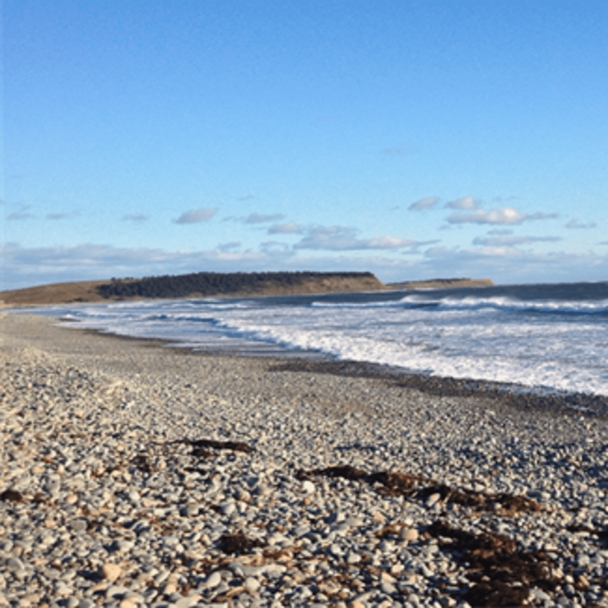 Services en français, socialisation et pensées sur la francophonie ...